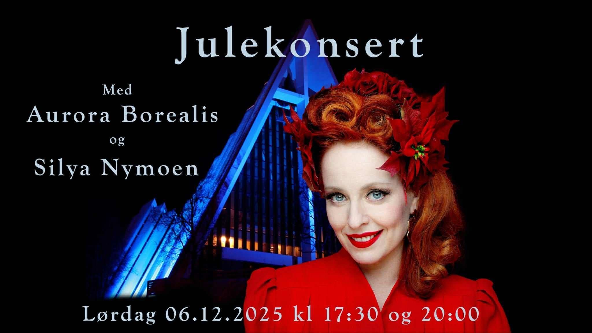 Christmas concert with the mixed choir Aurora Borealis - Arctic Cathedral